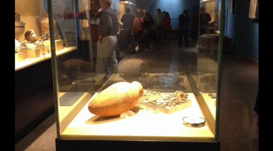 Mallawi Museum | Star Shine Tours