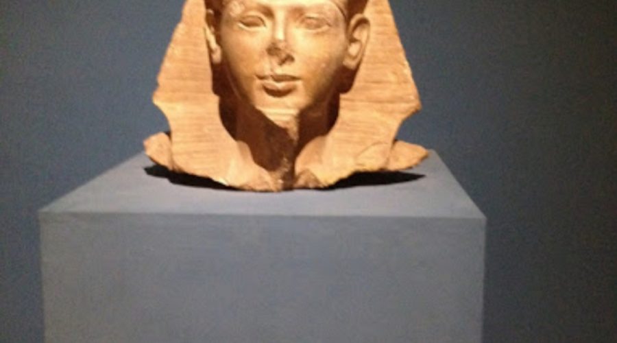 Mallawi Museum | Star Shine Tours