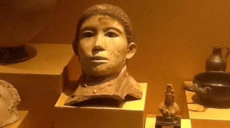 Mallawi Museum | Star Shine Tours