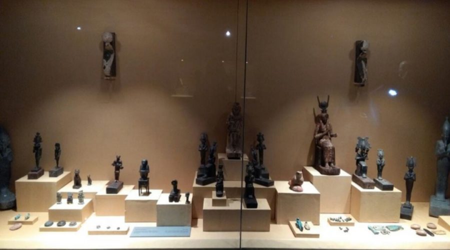 Mallawi Museum | Star Shine Tours