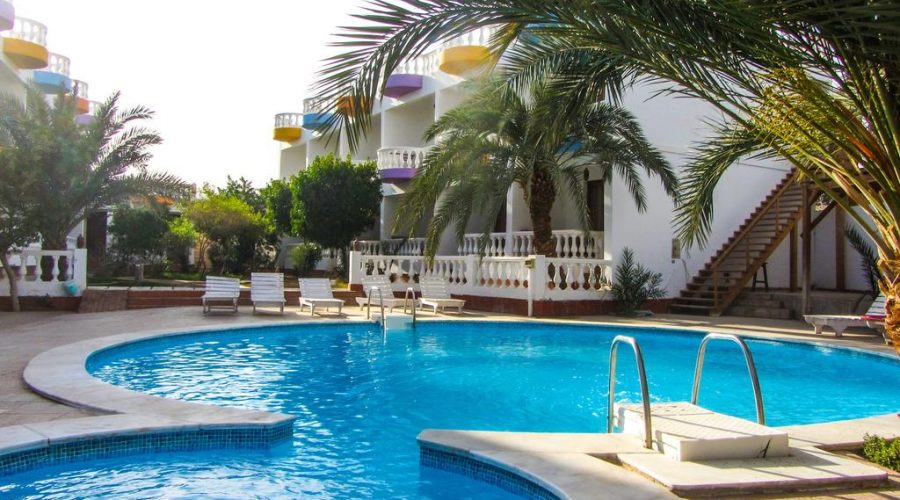 Octopus Hotel Dahab | Star Shine Tours