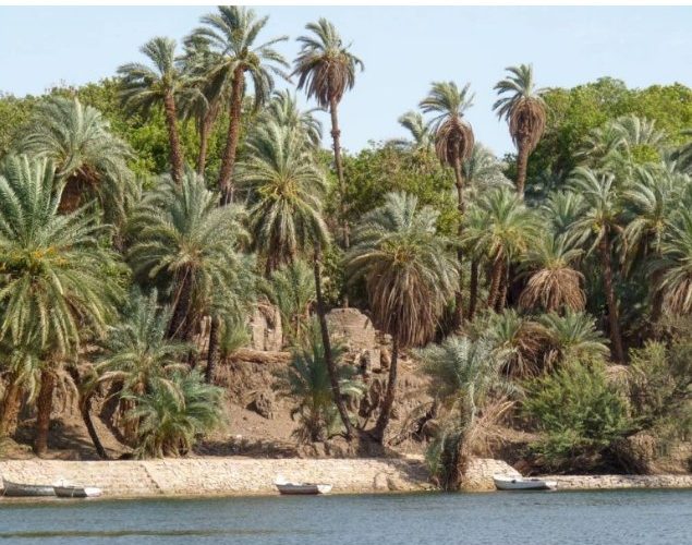 Elephantine island | Star Shine Tours