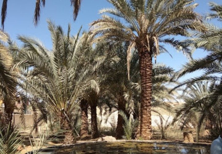 The Traditional Siwa House | Star Shine Tours